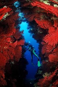 Site officiel de Cassis - Office de Tourisme : Calanques, Cap Canaille ...