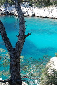 Site officiel de Cassis - Office de Tourisme : Calanques, Cap Canaille ...